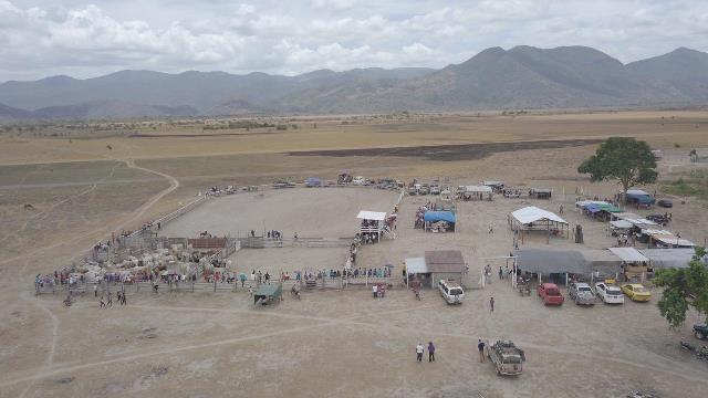 Sand Creek Rodeo – a growing Rupununi attraction – Department of Public ...