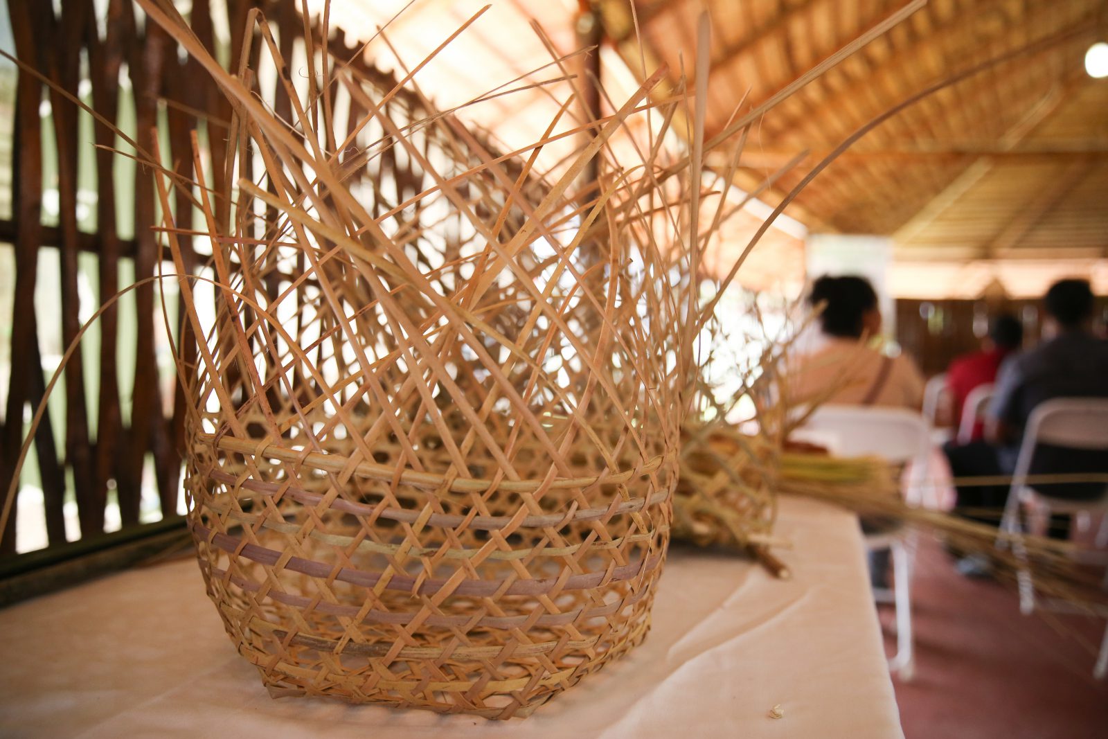 Keeping the indigenous culture alive! – Department of Public ...