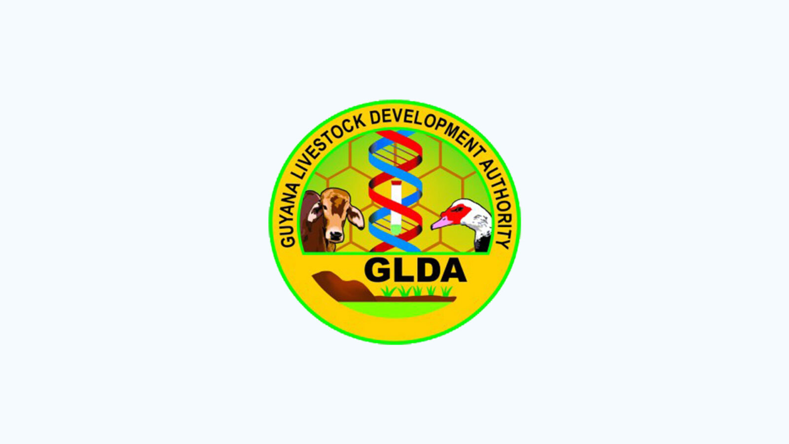 GLDA to extend bee removal services to residential spaces – Department ...