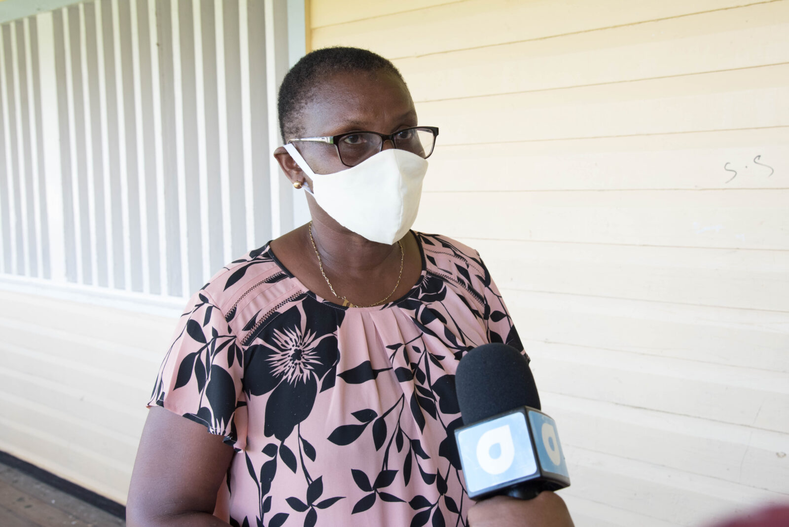 East Ruimveldt, Cummings Lodge schools welcome partial reopening – DPI ...