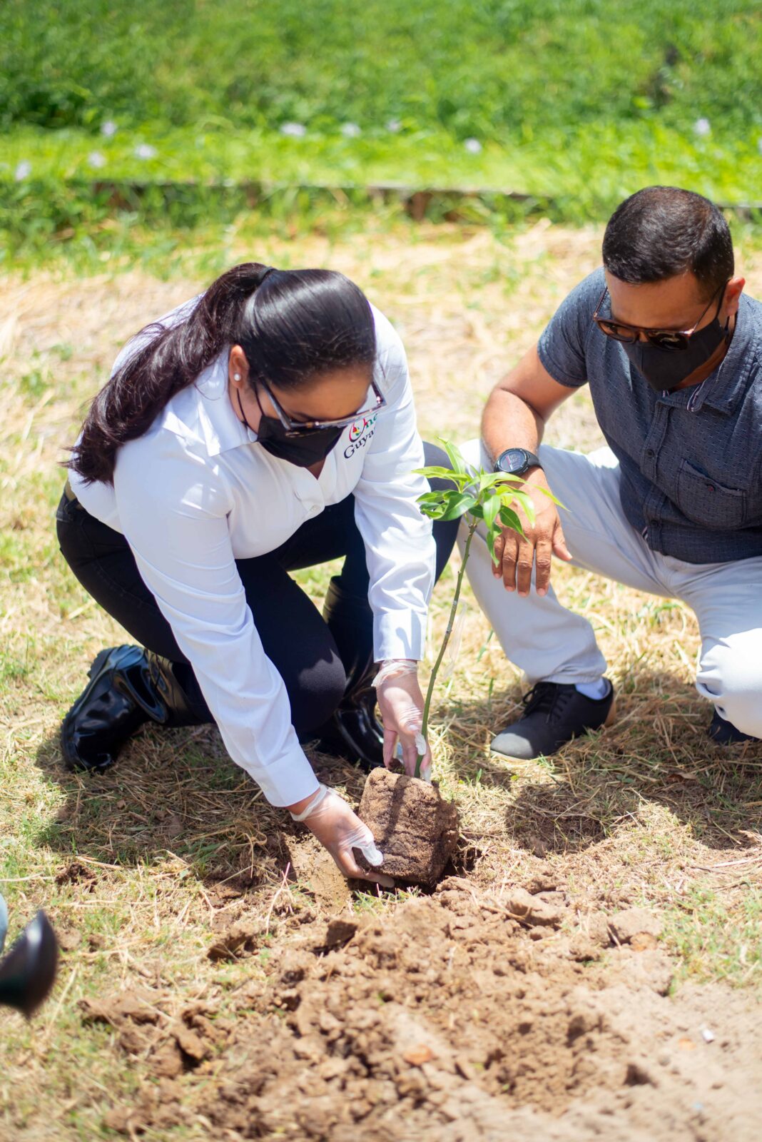 First Lady launches national tree planting exercise on Earth Day ...